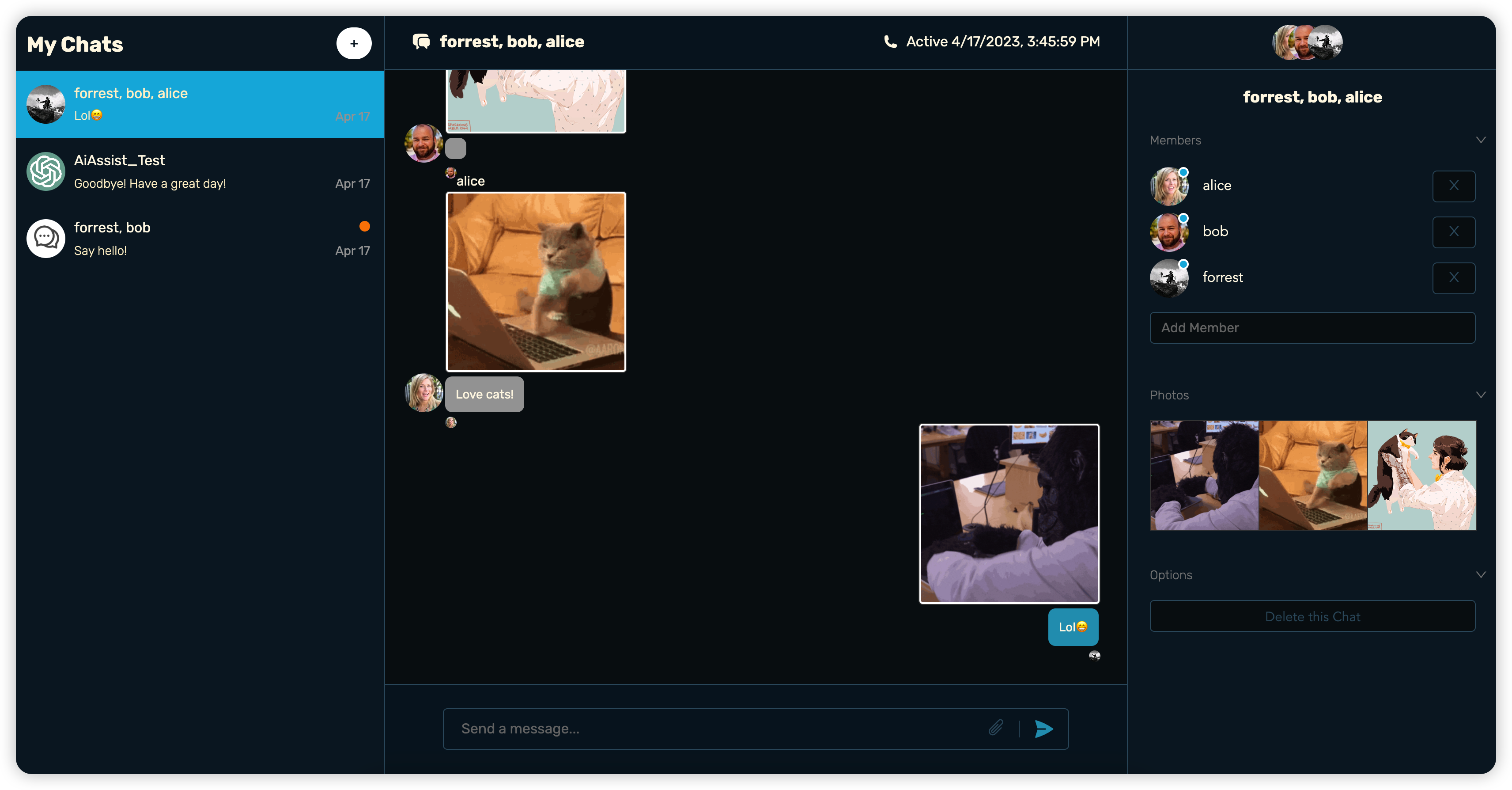 Forrest Lin Portfolio